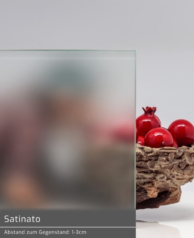 Ganzglastür Milchglas/Mattglas Glastür 8mm ESG Satinato 197,2 x 83,4cm